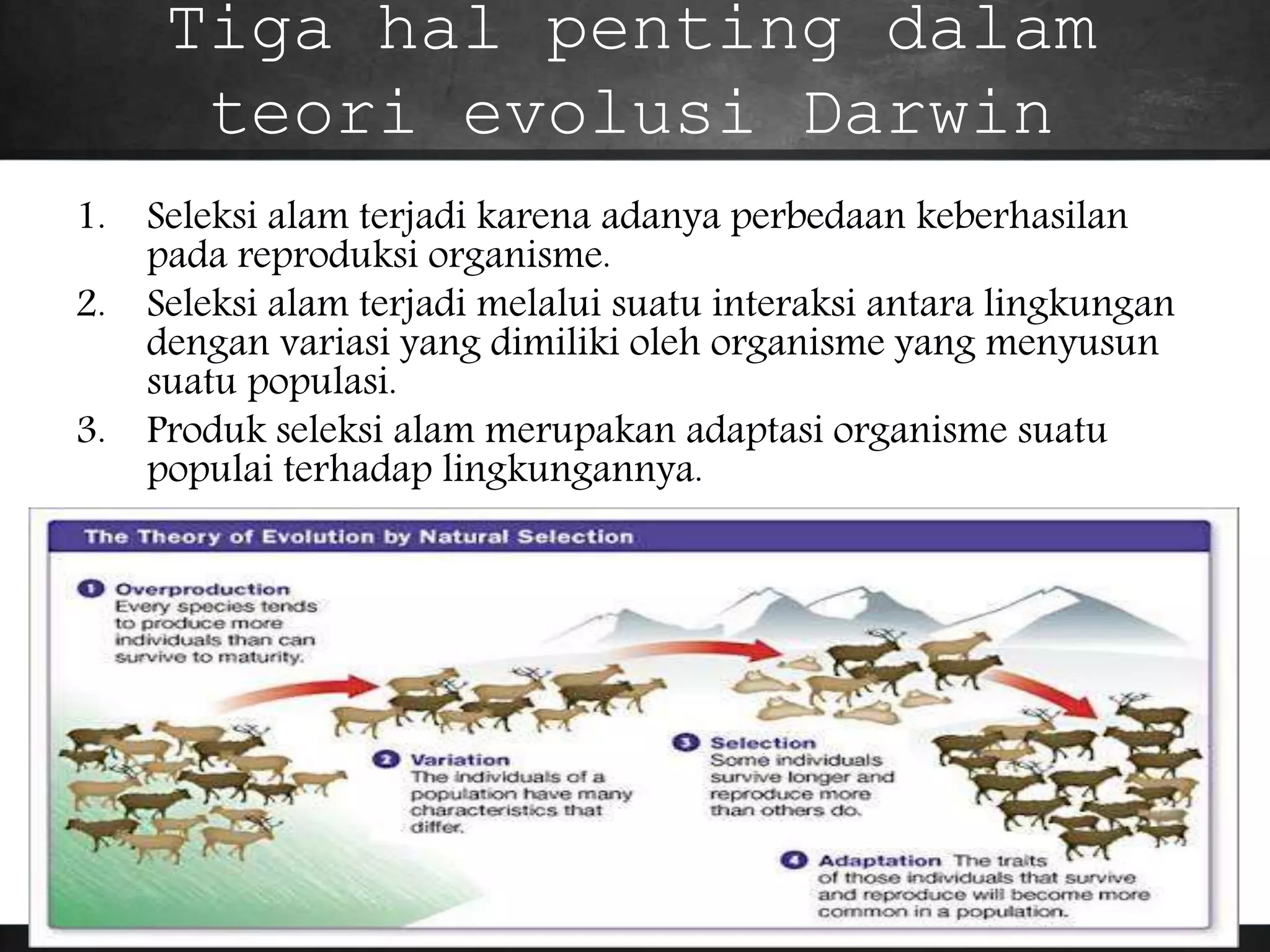 Biologi "EVOLUSI" | PPTX
