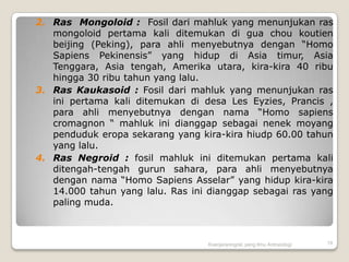 Evolusi primata dan manusia | PPT