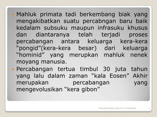 Evolusi primata dan manusia | PPT