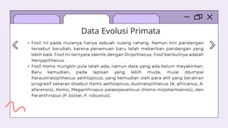 EVOLUSI PRIMATA | PPT