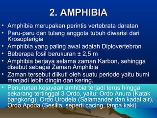 Evolusi Vertebrata 1 | PPT