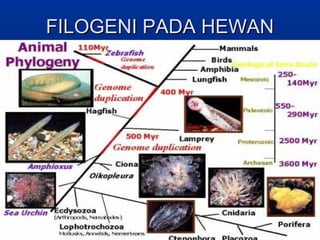 Evolusi Vertebrata 1 | PPT