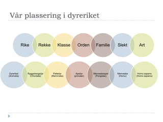 Evolusjon kap 2 | PPTX