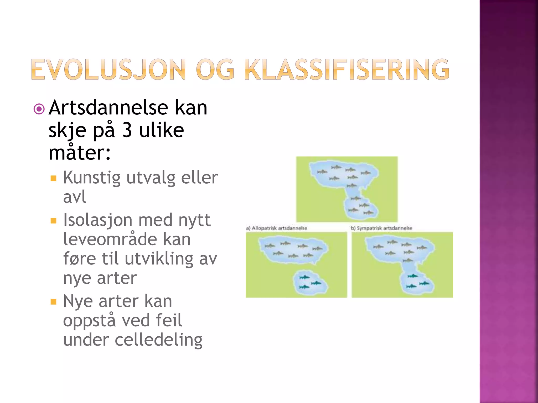 Evolusjon og klassifisering 2 | PPT