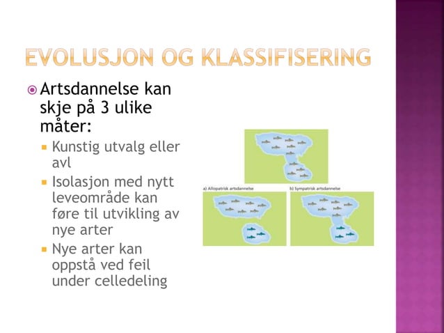 Evolusjon og klassifisering 2 | PPT