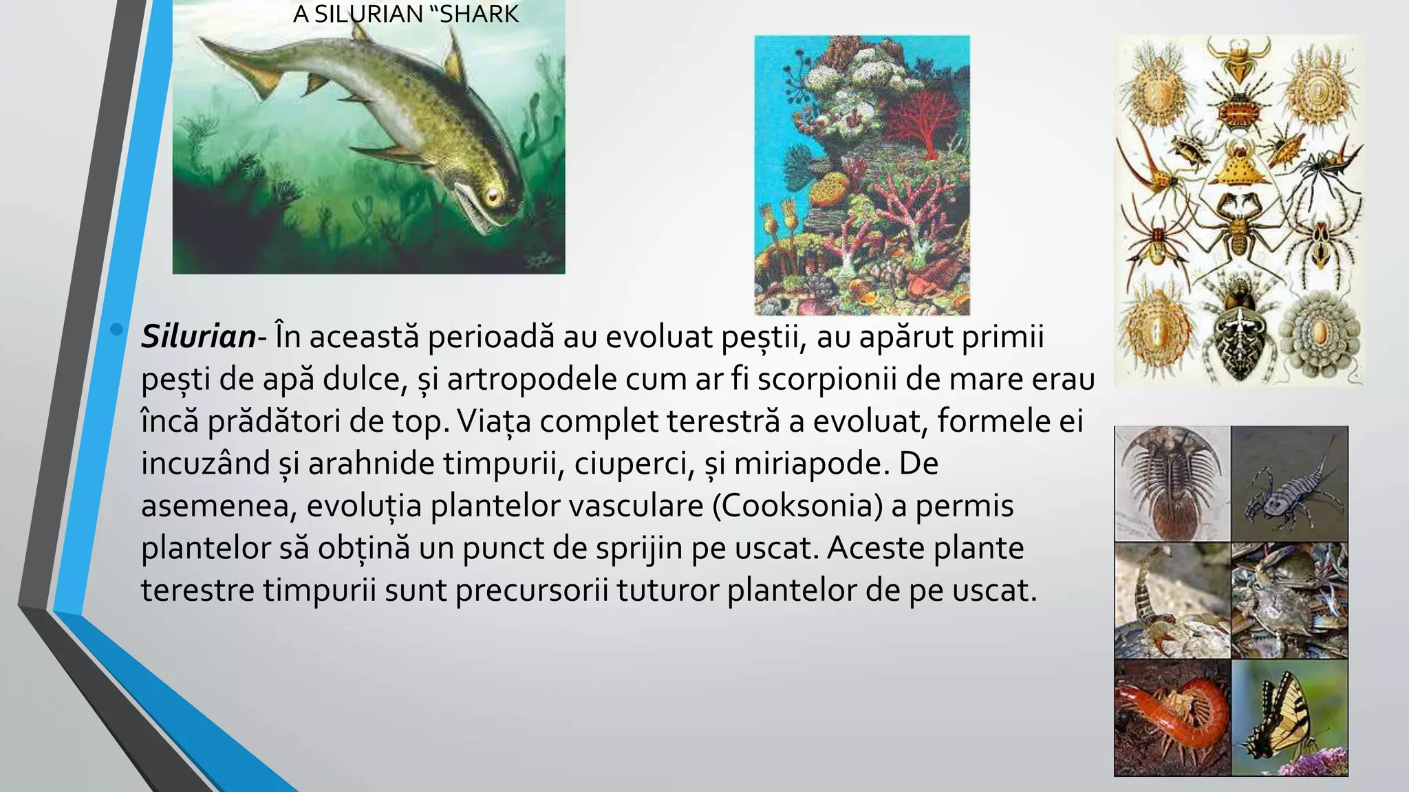 Evolutia vietii pe terra | PPTX