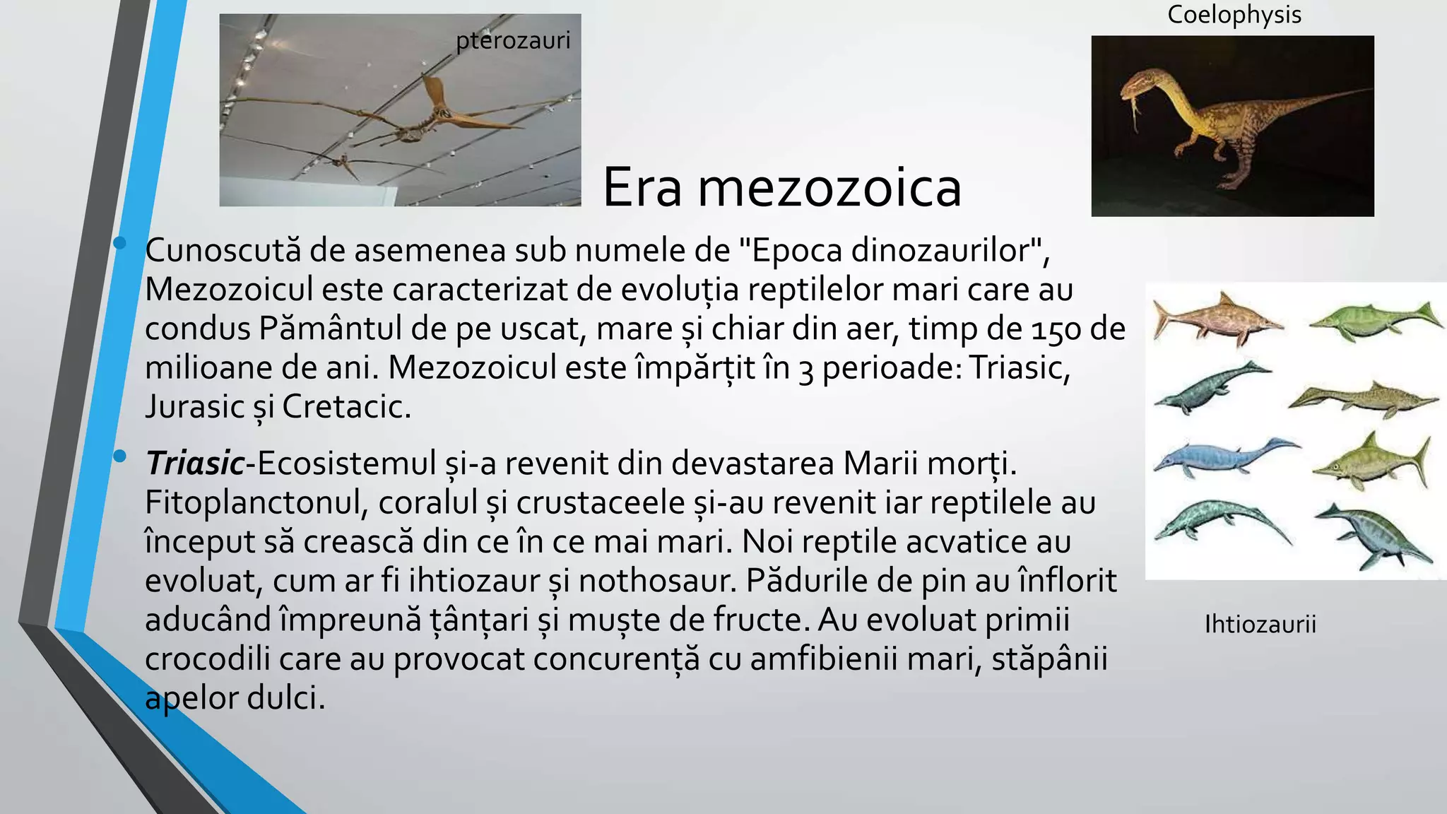 Evolutia vietii pe terra | PPTX