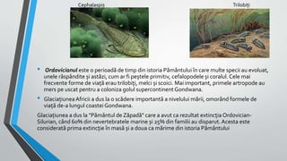Evolutia vietii pe terra | PPTX