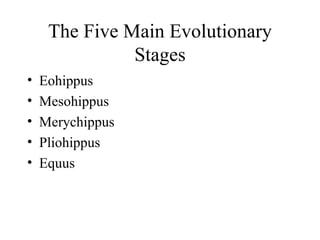 Evolution | PPT