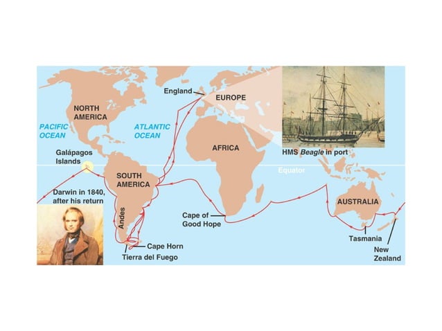 Honors Biology Evolution Ppt