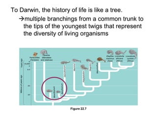 The history of evolution theory of darwi | PPT