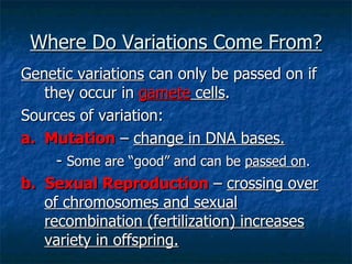 Evolution | PPT | Genetics | Science