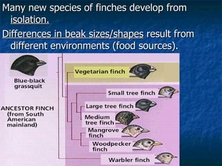 Evolution | PPT | Genetics | Science