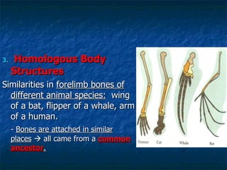 Evolution | PPT