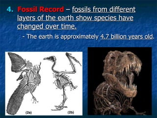 Evolution | PPT