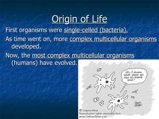 Evolution | PPT | Genetics | Science