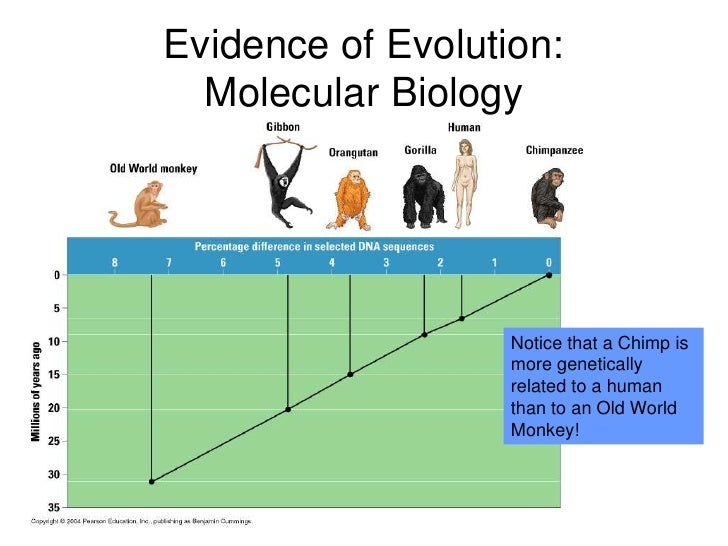 Evolution_PMSD_Biology