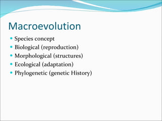 Evolution | PPT