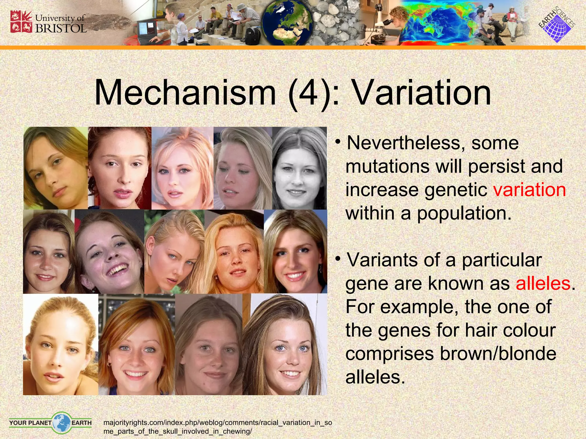 Evolution | PPT
