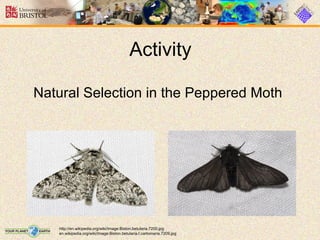 Evolution | PPT