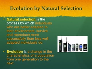 Evolution | PPT