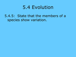 Evolution | PPT