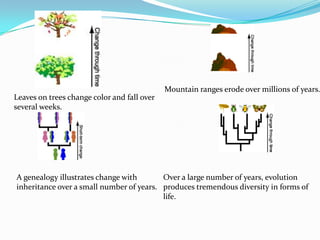 Evolution | PPT