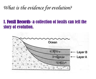 Evolution Study Guide | PPT