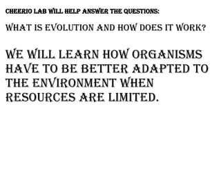 Evolution Study Guide | PPT