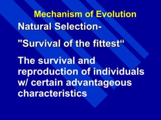 Evolution | PPT