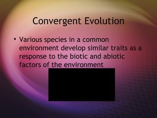 Point Quarter Sampling | PPT | Genetics | Science