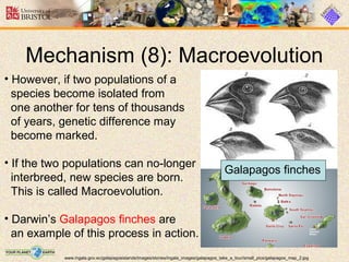 Evolution | PPT