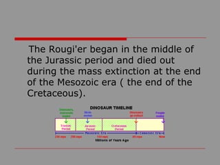 Evolution | PPT | Free Download