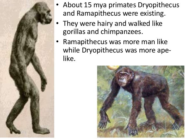 Evolution by mohan bio