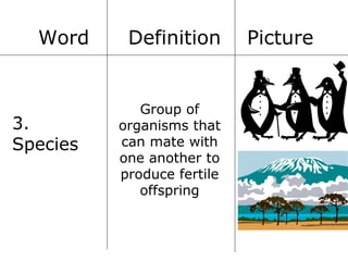 5.03 Evolution | PPT