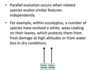 Parallel Evolution Examples
