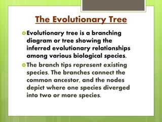 Evolution theory | PPTX