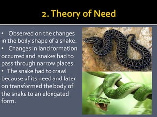 Evolution-summary | PPTX