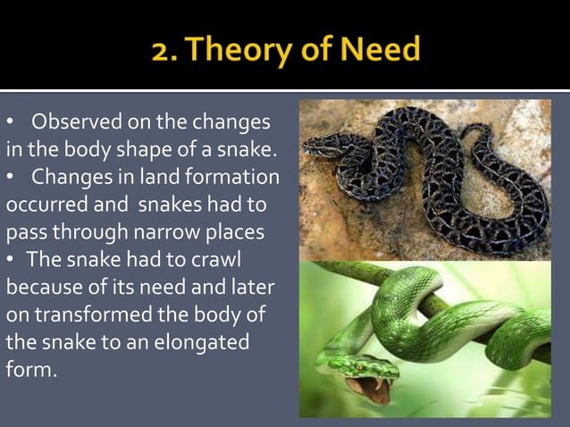 Evolution-summary | PPT