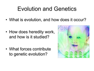 Evolution and Genetics | PPTX | Biological Sciences | Science