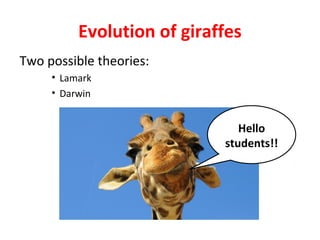 Evolution | PPT