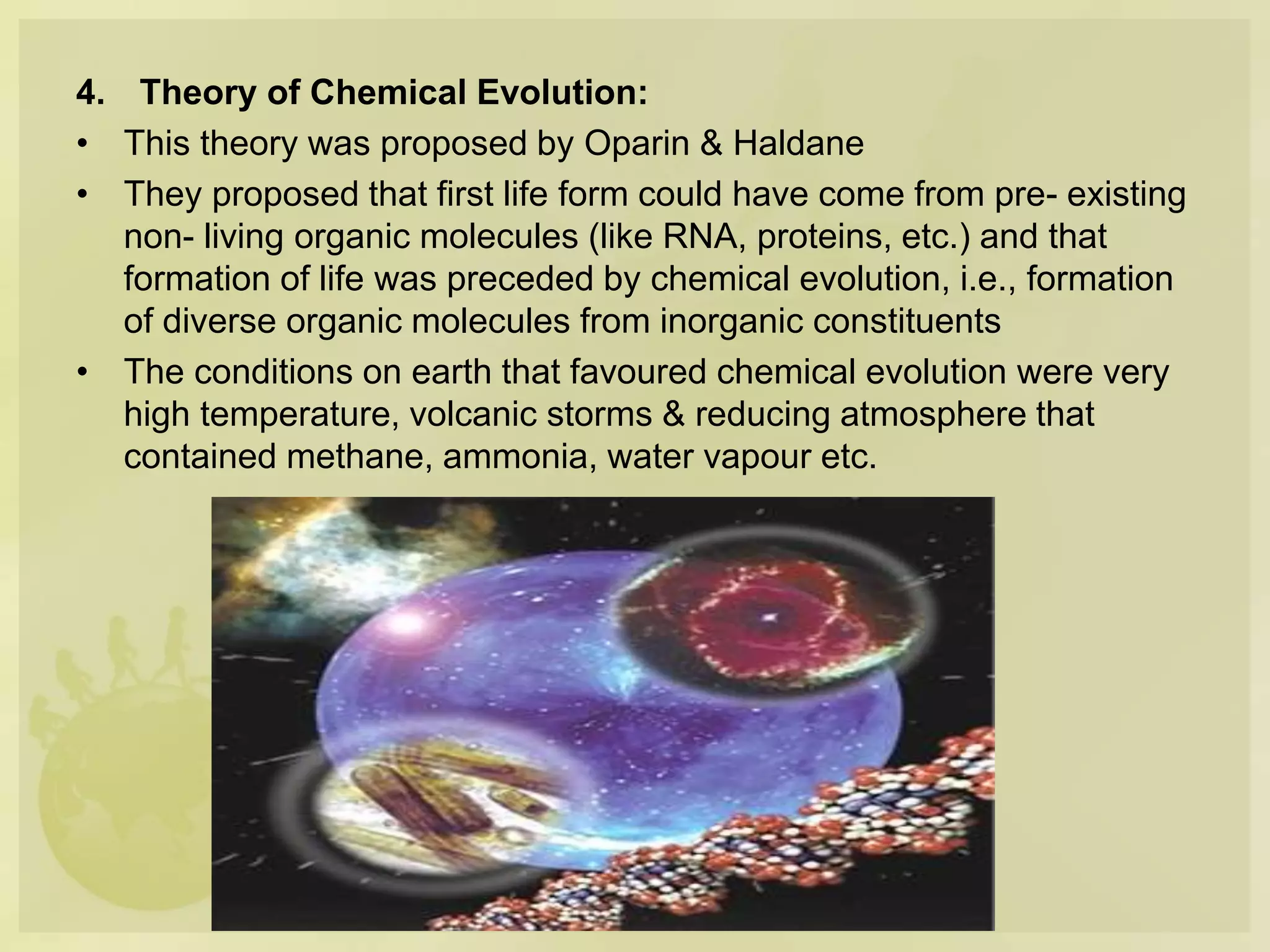 Evolution, Grade 12 | PPTX