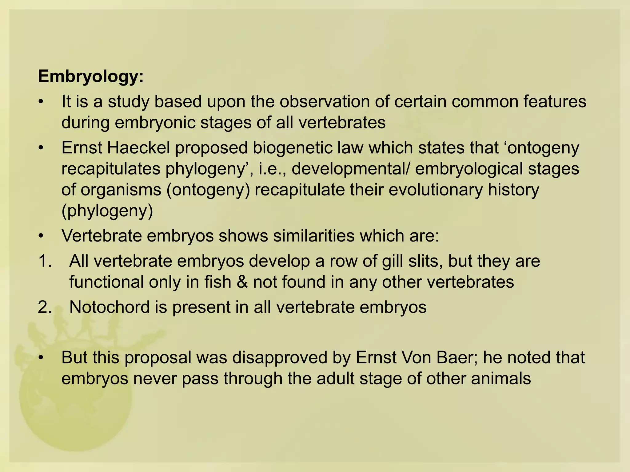 Evolution, Grade 12 | PPTX