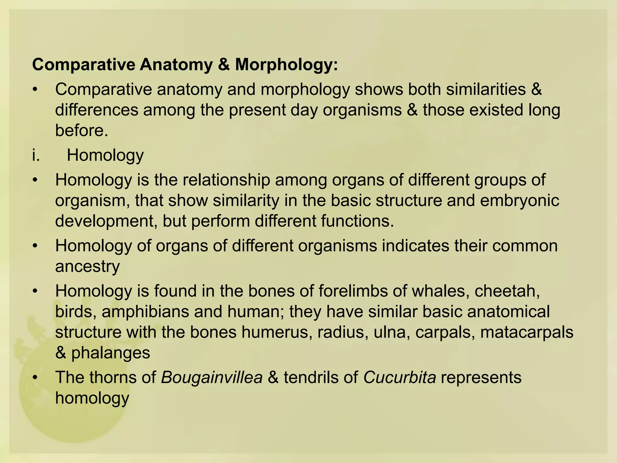 Evolution, Grade 12 | PPTX