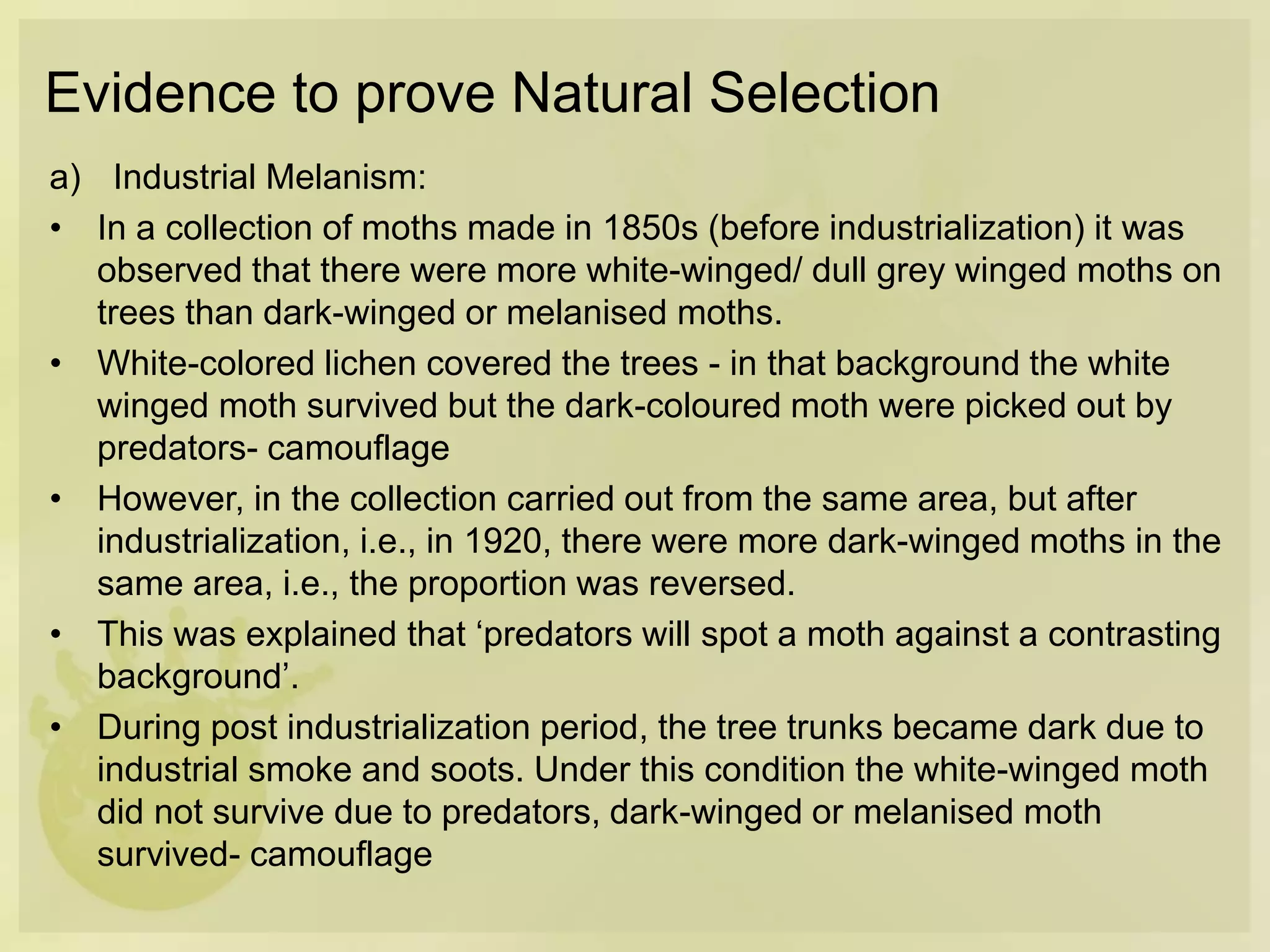Evolution, Grade 12 | PPTX