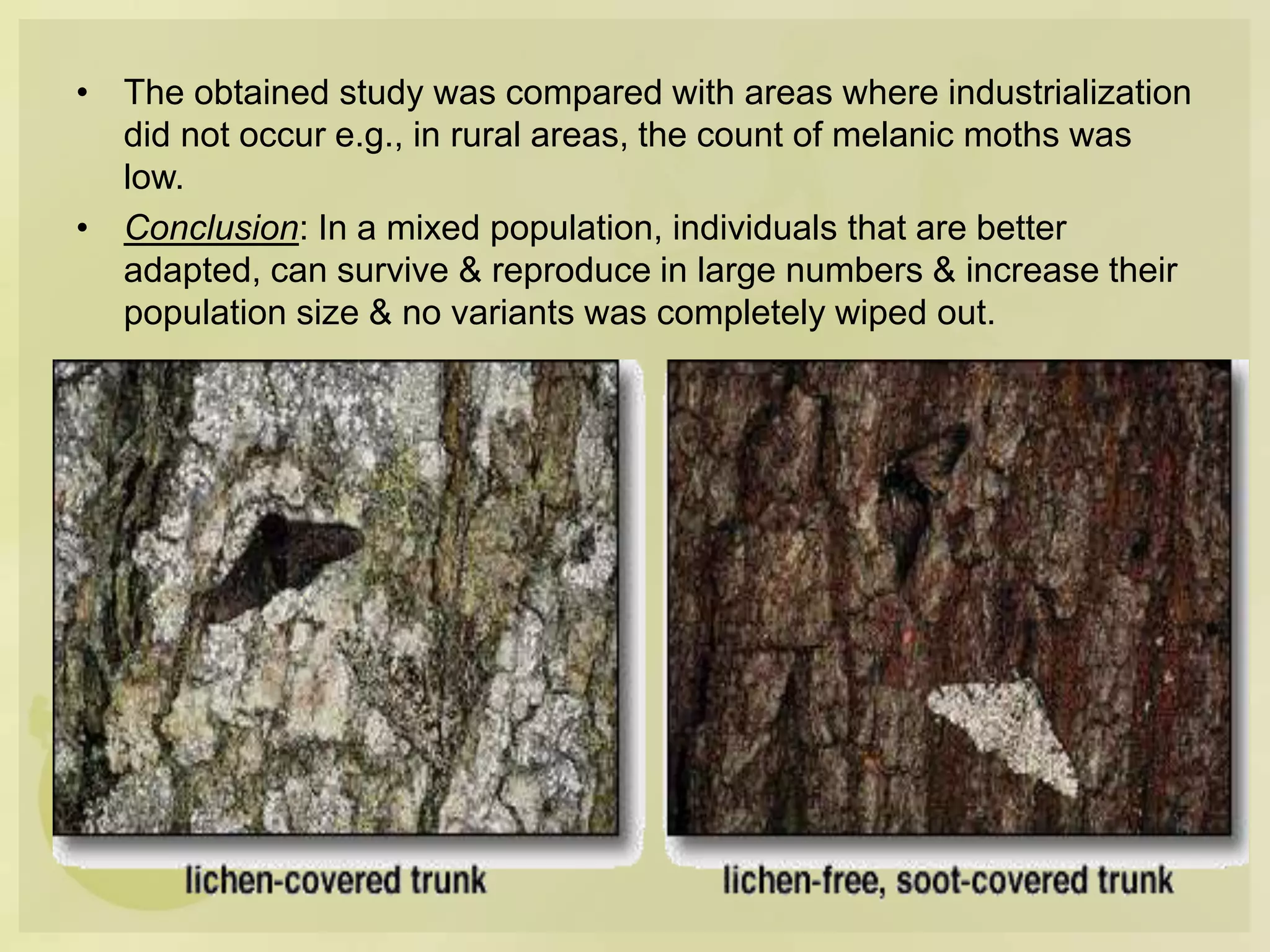 Evolution, Grade 12 | PPTX