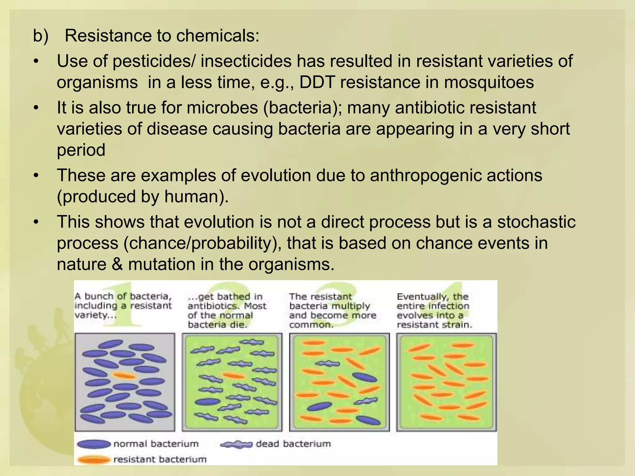 Evolution, Grade 12 | PPTX