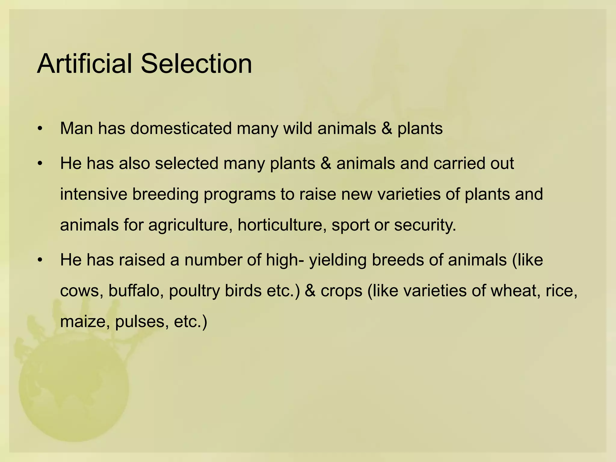 Evolution, Grade 12 | PPTX