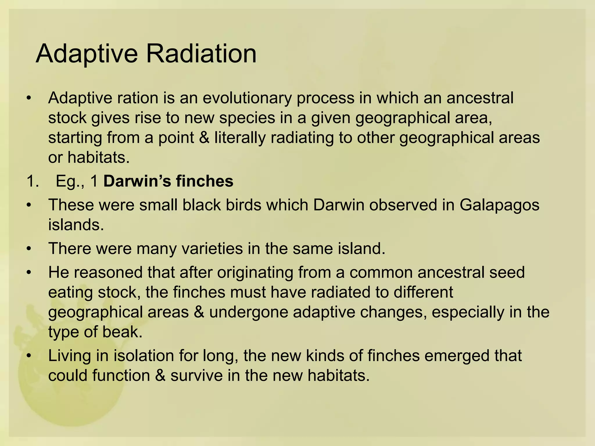 Evolution, Grade 12 | PPTX