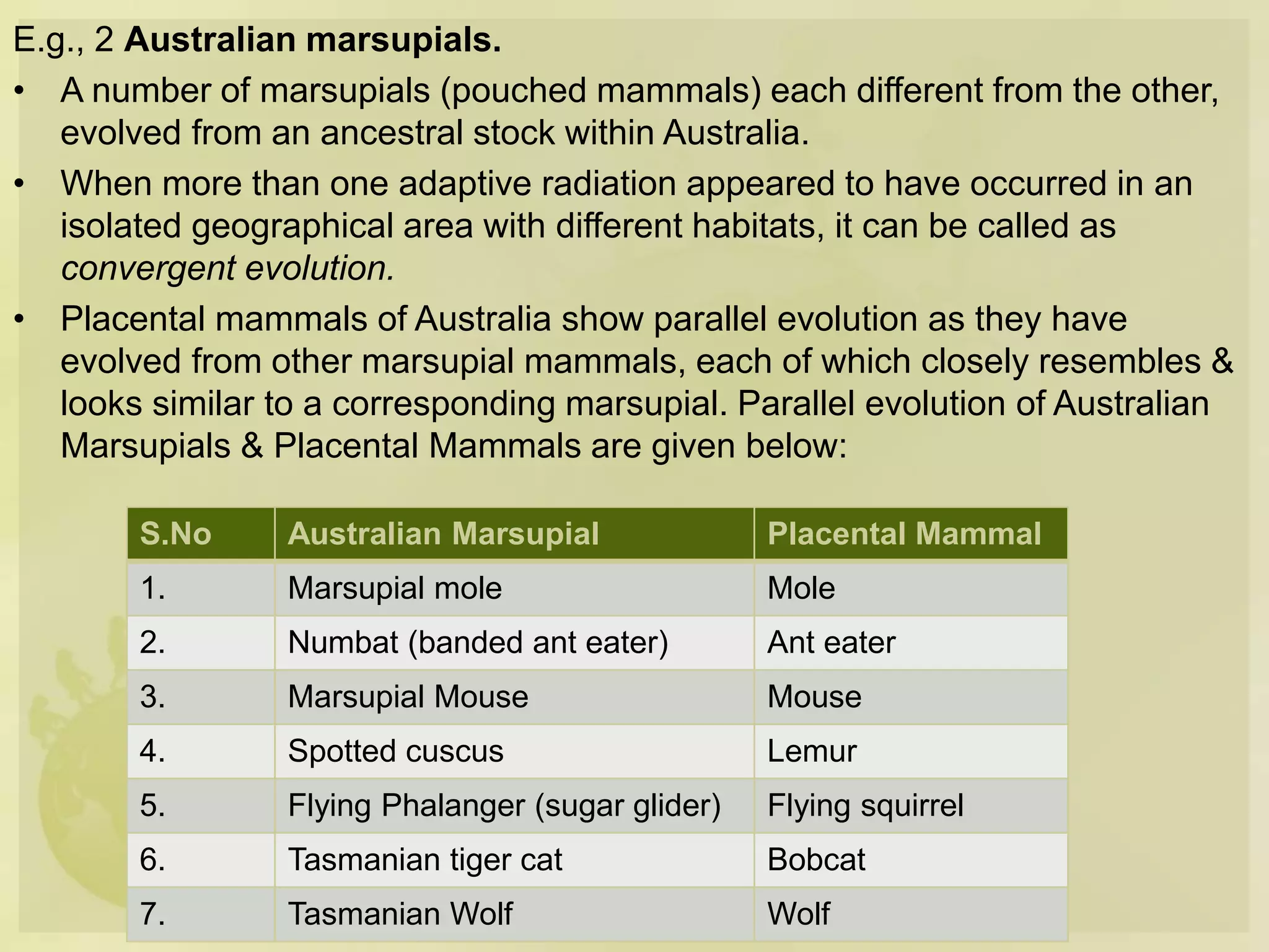 Evolution, Grade 12 | PPTX